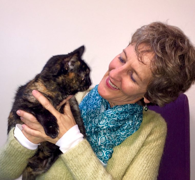 Life with Zimba - Animals Are Souls